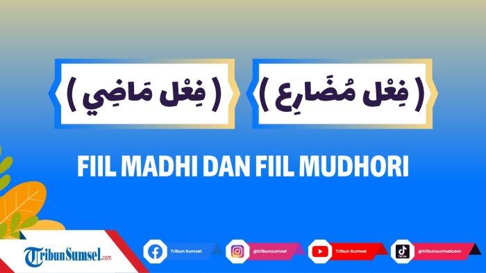 10 Contoh Fi'il Mudhari' Populer: Arab, Latin, Arti - Patrolmedia.co.id